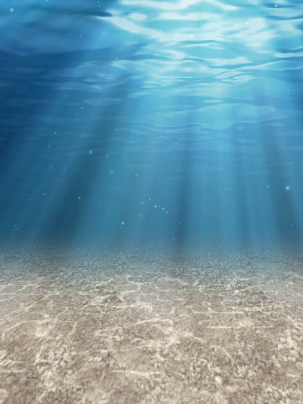 Portrait Images - Elohims World